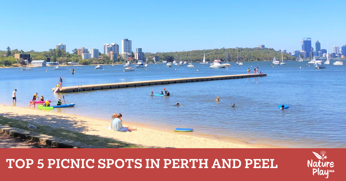Top 5 Picnic and Play Spots in Perth and Peel - Nature Play WA
