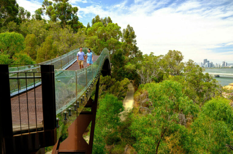 Kings Park and Botanic Garden - Nature Play WA
