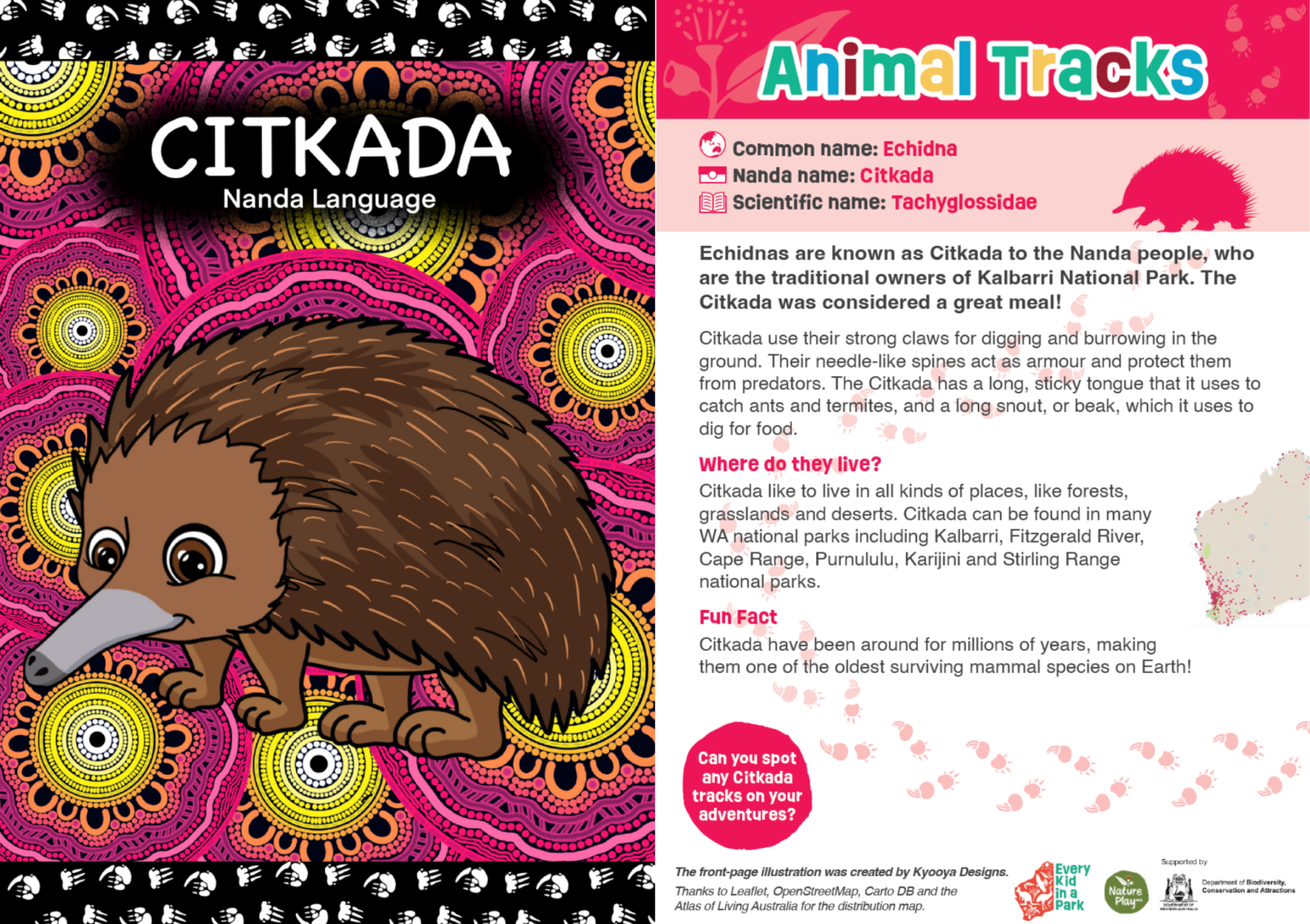 Animal Tracks: Kalbarri National Park - Nature Play WA