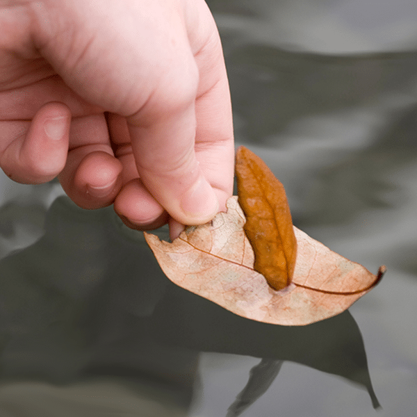 25 Family-Friendly Nature Activity Ideas for April